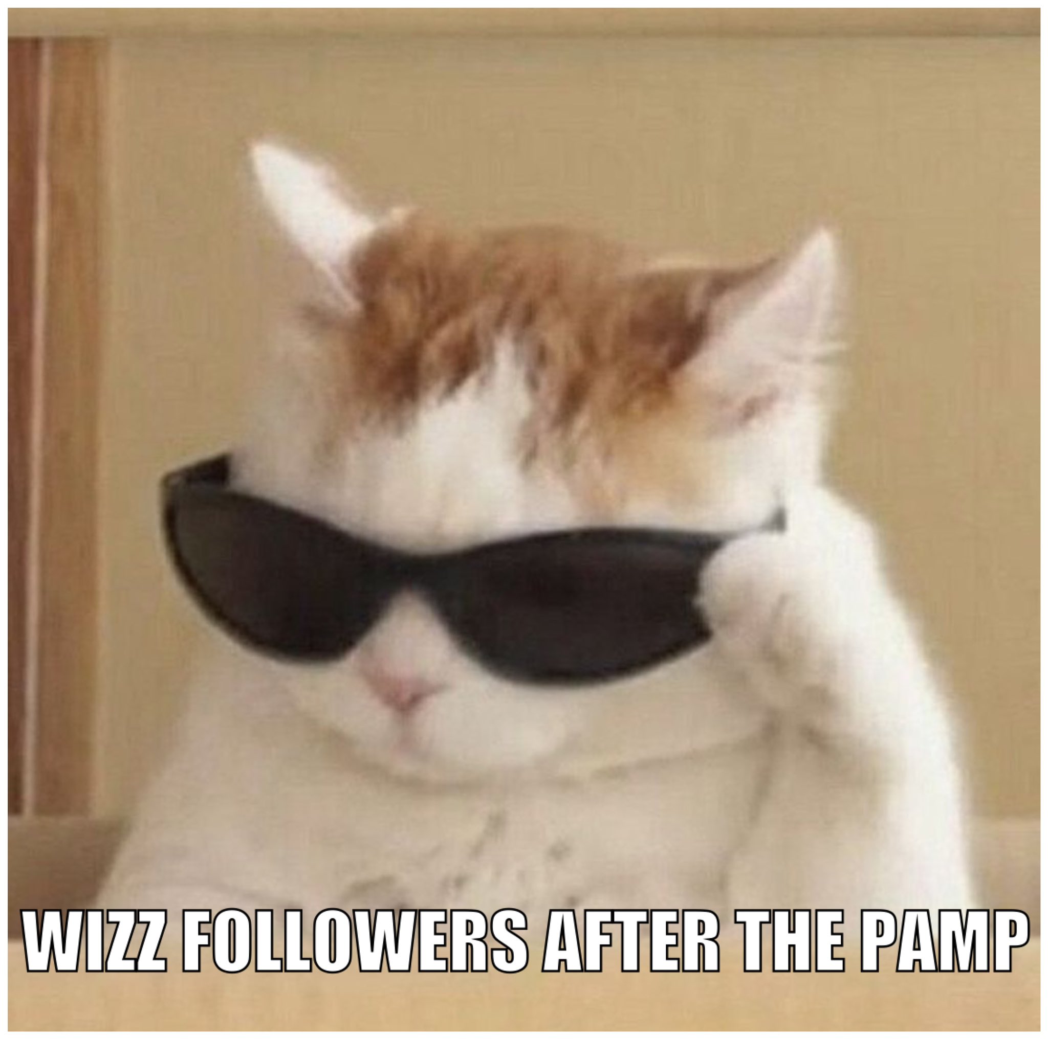Wizz Memes Discovering Secret Admirers On Wizz: Free Chat Tips