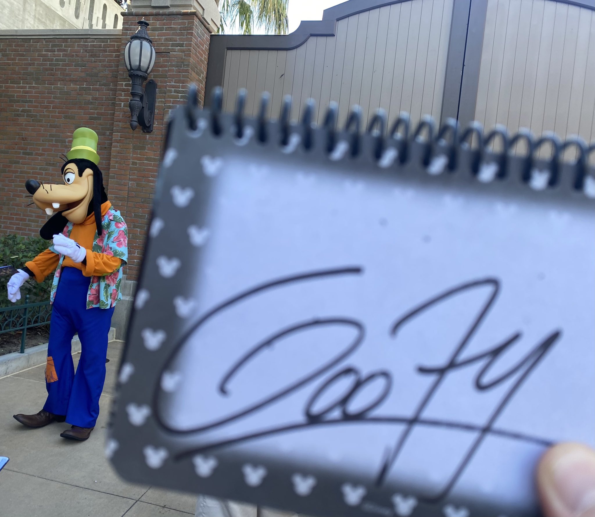Goofy Signature