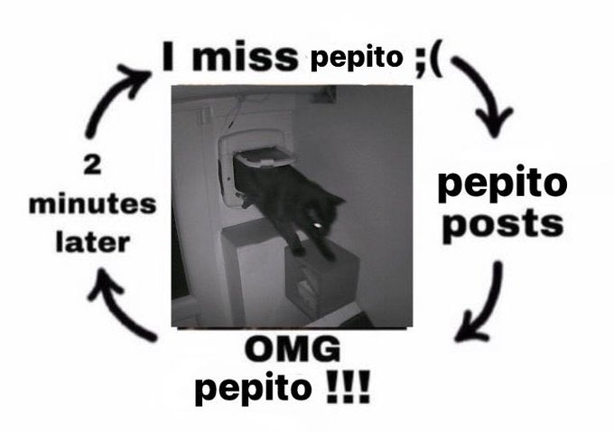 Pepitos Memes 34 Best Chistes De Pepito Ideas | Spanish Jokes, Spanish