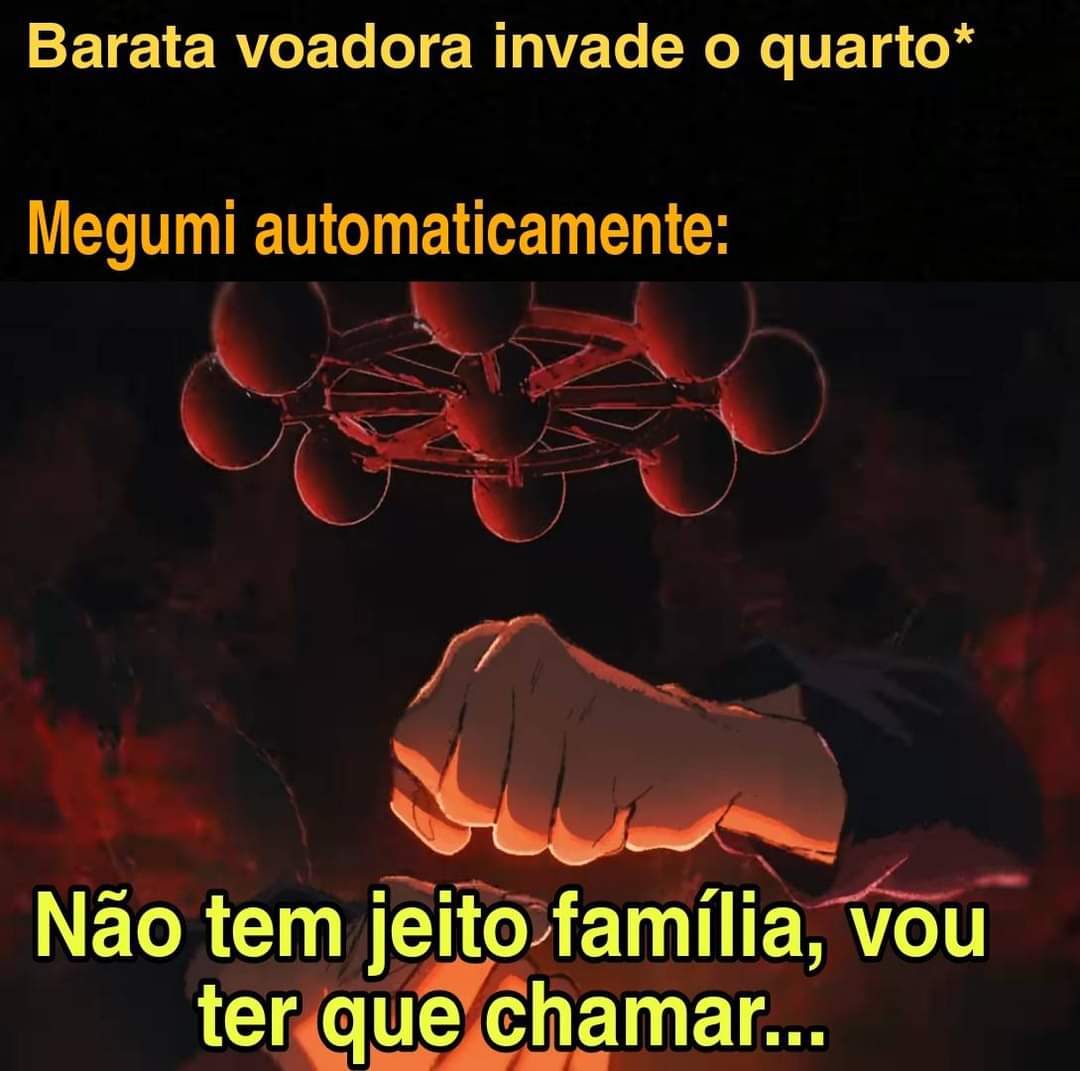 Memes Barata Voadora