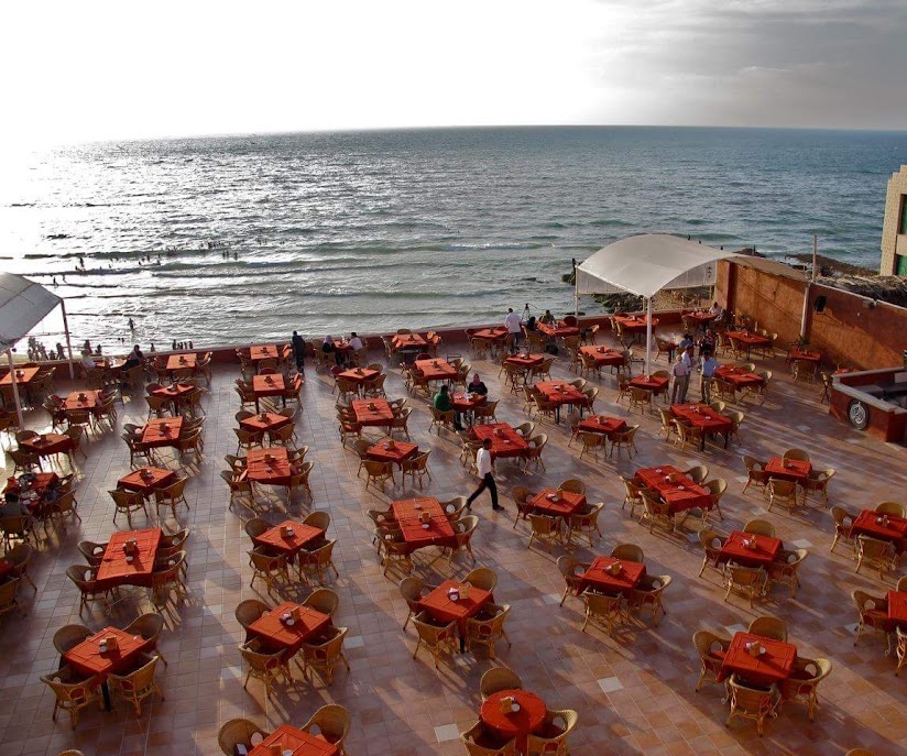 Thread by @shayan_shahnazi on Thread Reader App – Thread Reader App