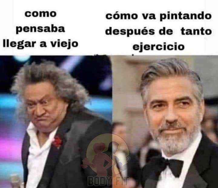 Memes Ahuevo Ají De Pollito, Uff Qué Rico 🐥🍗 #humor #tobi