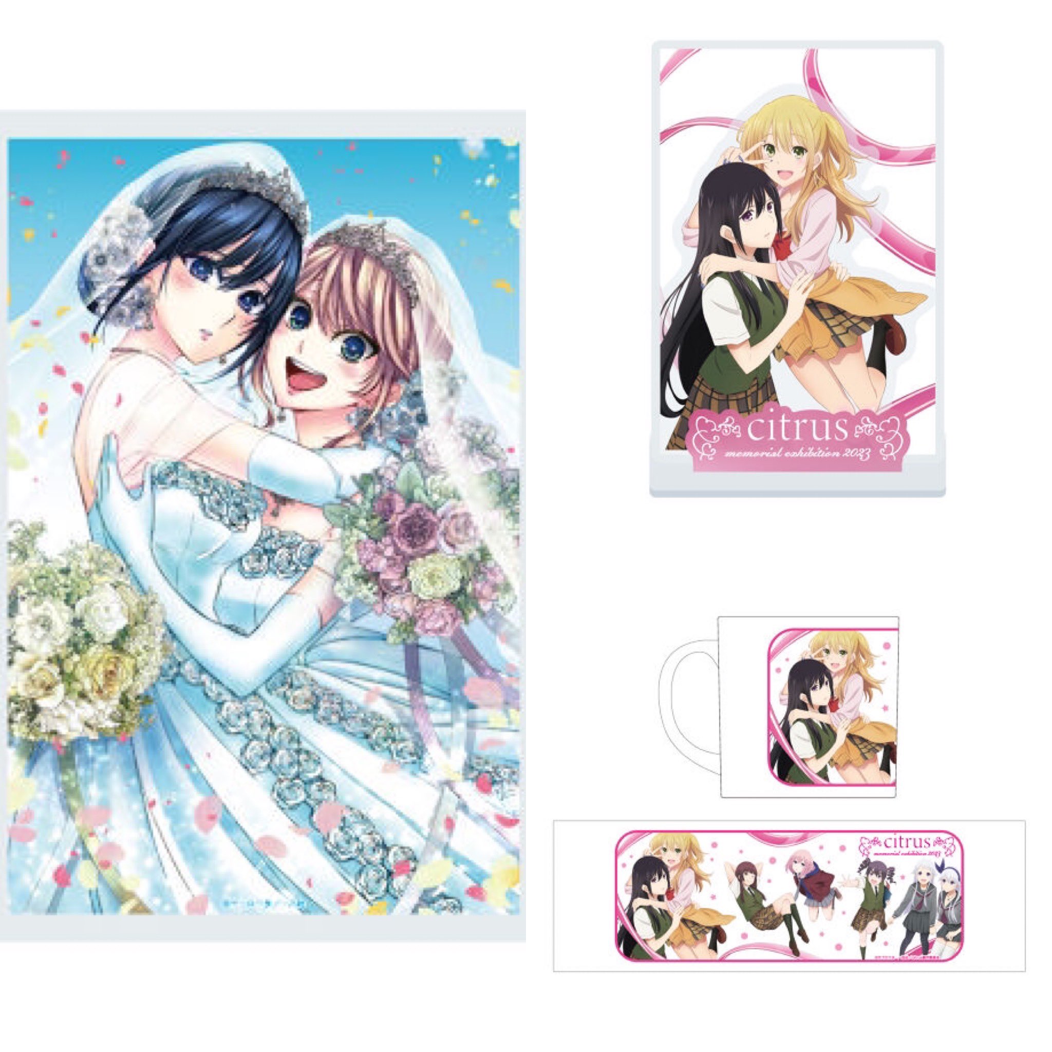 Details More Than 155 Citrus Anime Latest Vn