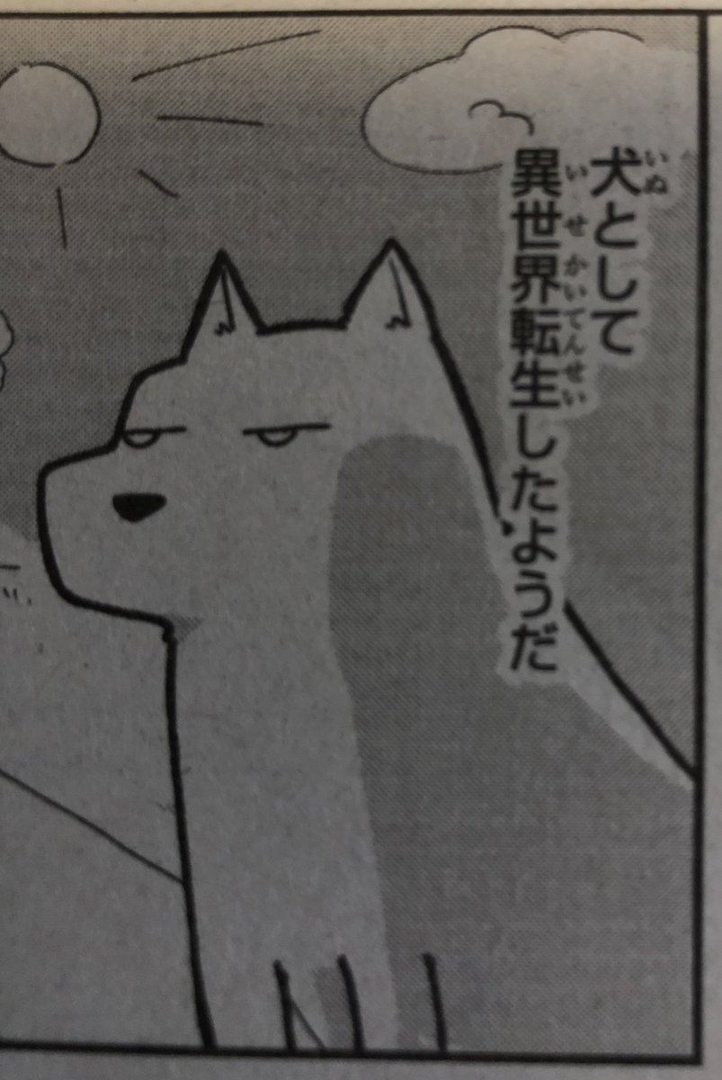 「後の夫婦であるの第2版です‼️ 帯も新しくなりました! 本当にありがとうございます‼️ 興味があって未読の方は是非!! 」湊ユウキの漫画