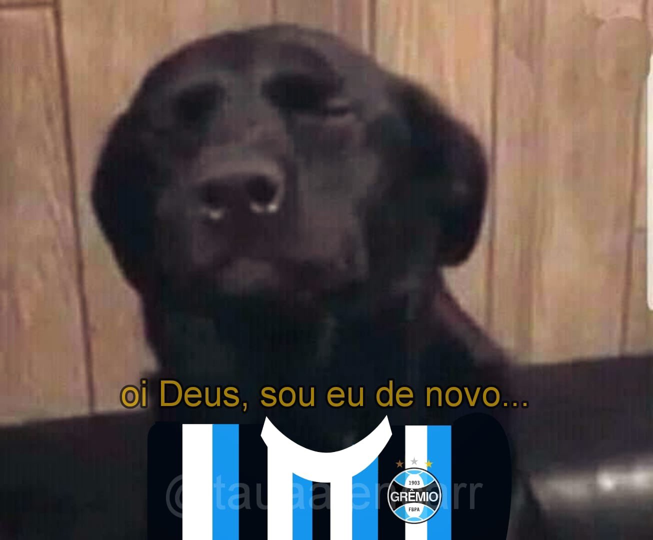 Eu Sou Deus Meme Alencar 🇪🇪 On X: "só Depende Do Grêmio