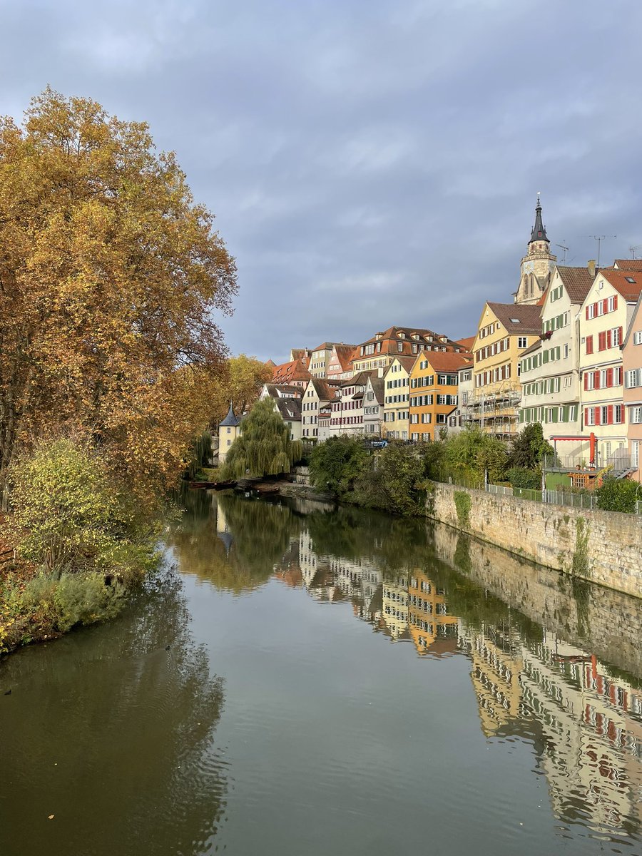 Human-Environment Interactions in Ancient Arabia – International ...