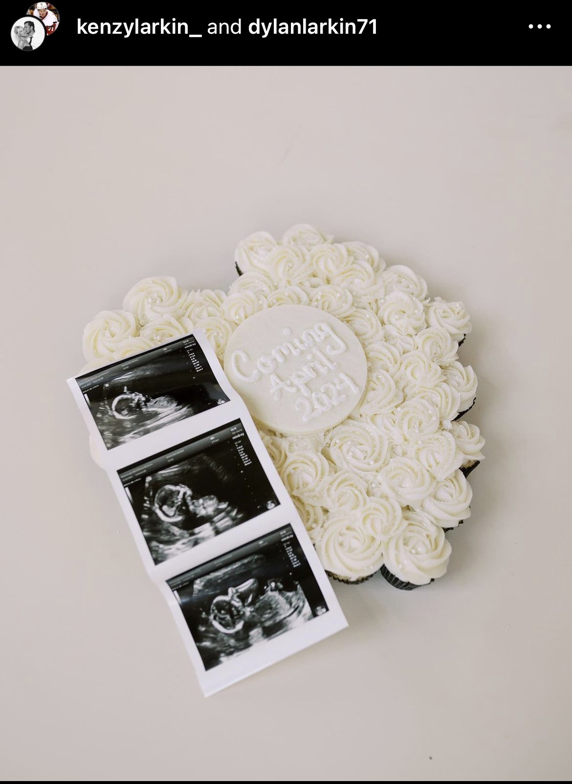 Quick Hits: The More Important Than Hockey Edition - Winging It In Motown