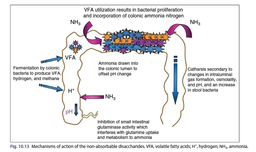 A 🧵 on LACTULOSE 💥Correct method to give lactulose enema in Hepatic ...