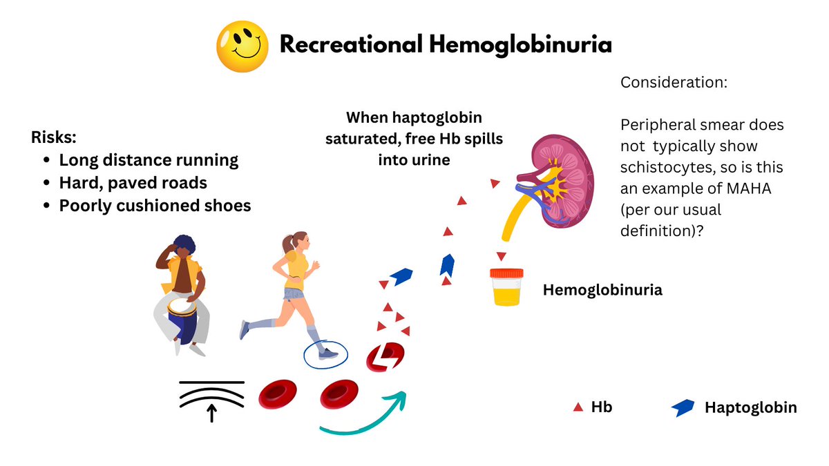 1/4 RECREATIONAL HEMOGLOBINURIA It has been shown that the repetitive ...