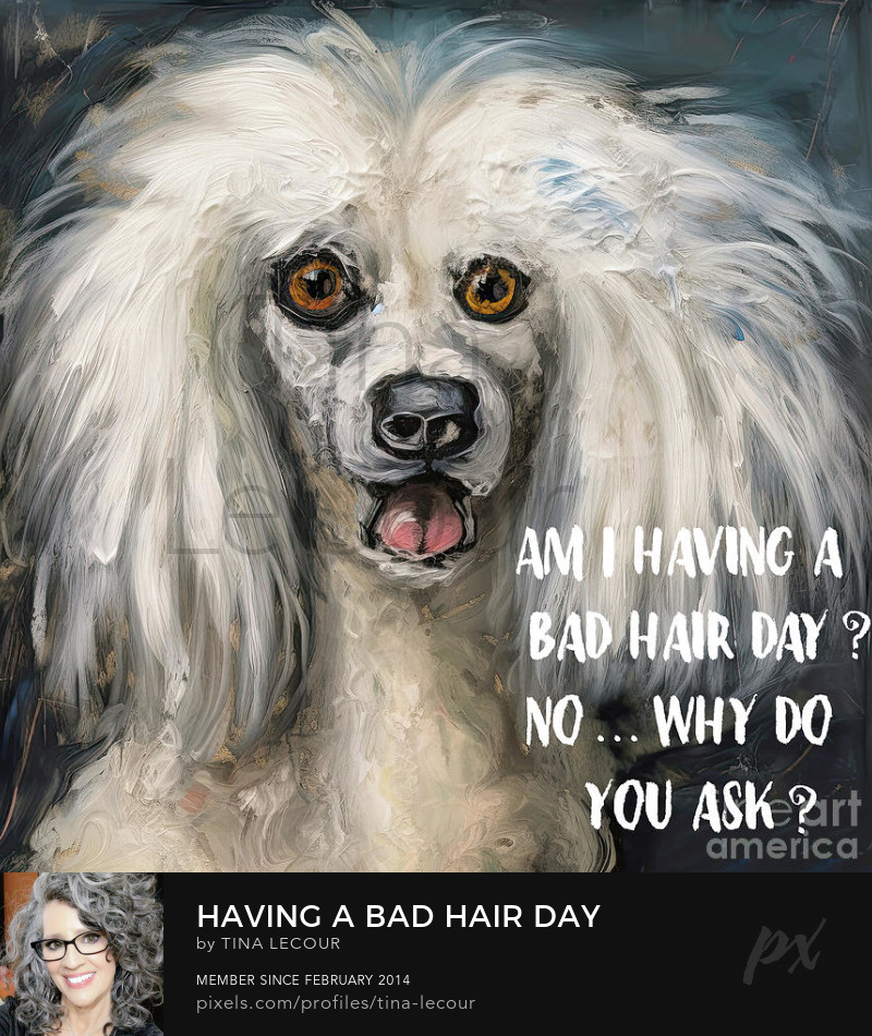 Bad Hair Day Meme