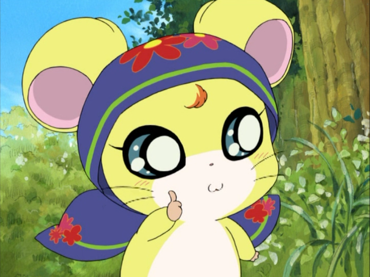 Hamtaro Okini Ham Ham Paradise
