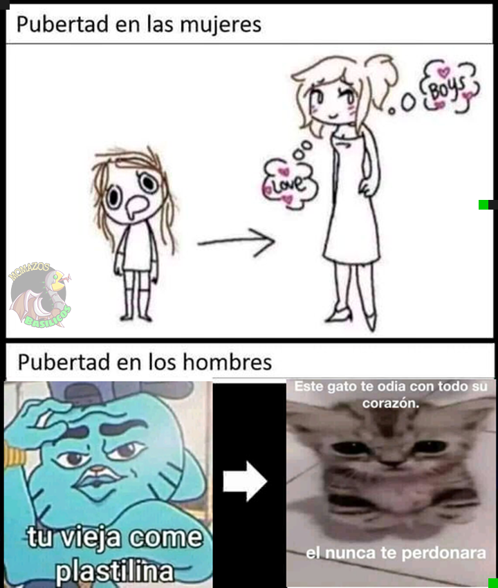 Memes Logica Femenina