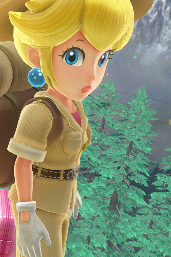 Sommerprinzessin Peach Rosa/Schwarz King Four Corner Post Betthimmel,