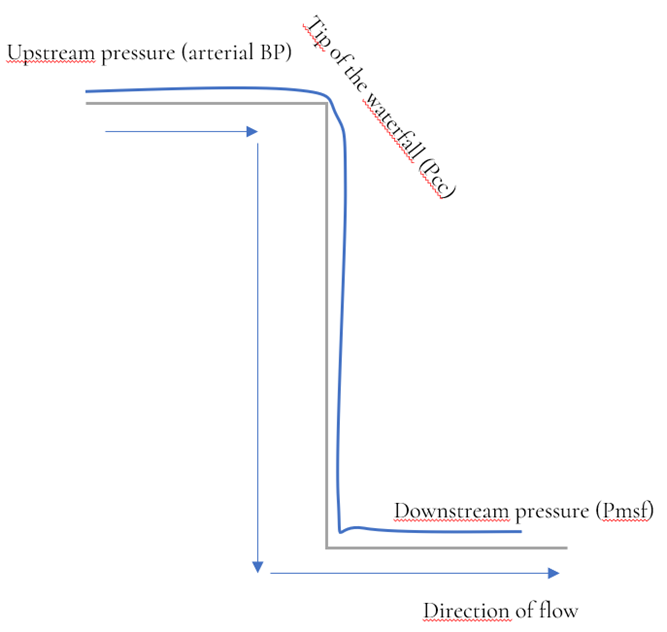 1/24 Recently, I started reading a lot about vascular waterfall (VW ...