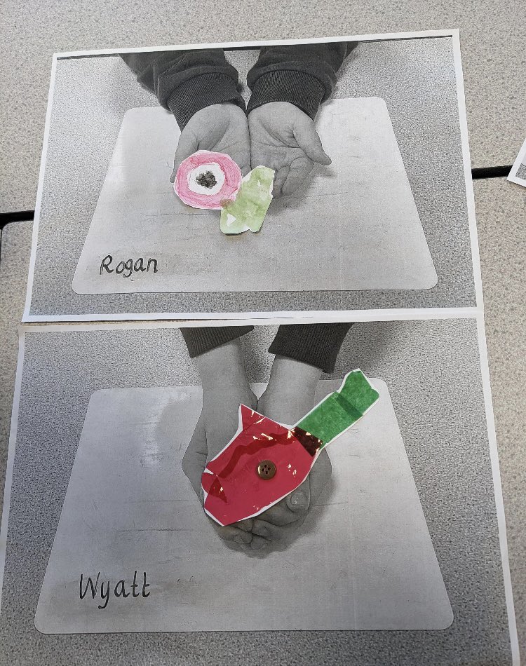 Welcome - Highgate Primary School