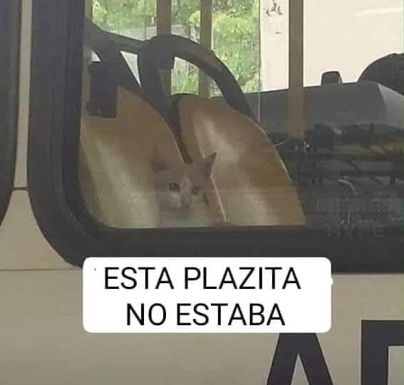 Memes Estas Equivocado Cuando El Agujero Equivocado Está Bien.