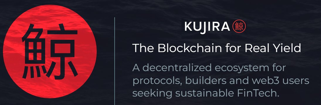 🉐Kujira. ¿Qué es esta red? ¿De dónde sale? ¿Qué tiene de especial? ¿A ...