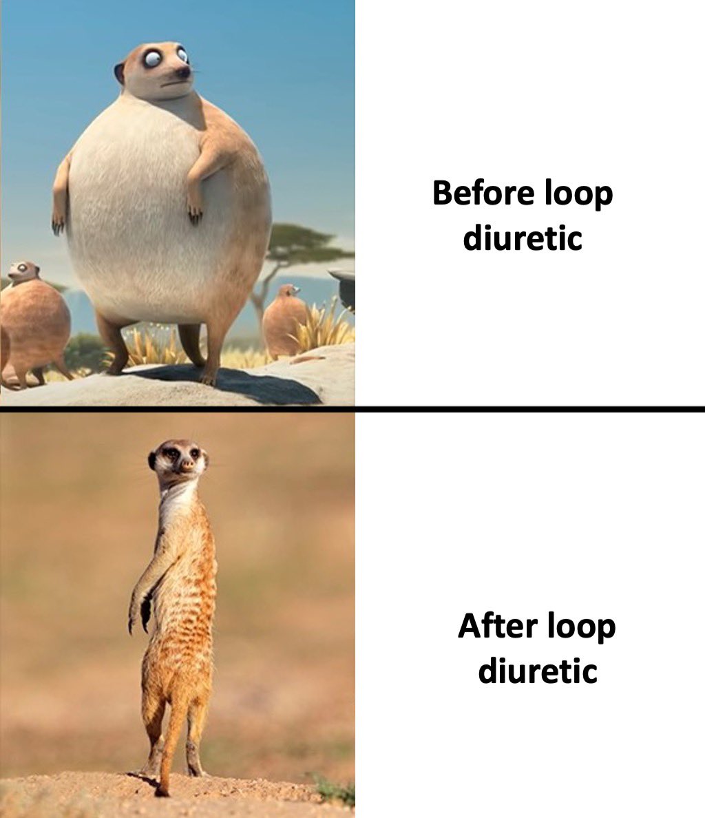 Memes Edemsa Funny Lymphedema Mug 11oz 330ml Lymphatic Edema Gift