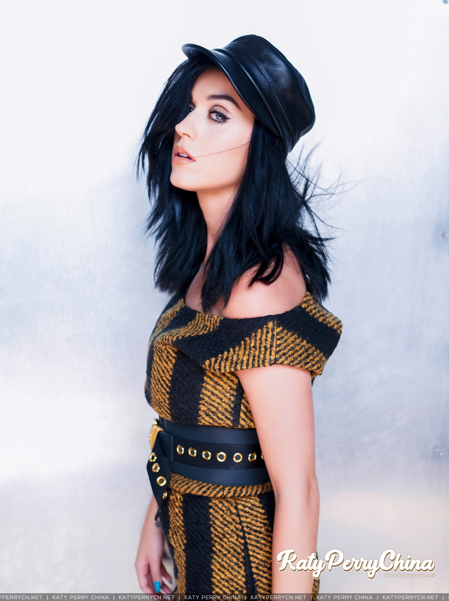 Katy Perry Photoshoot 2011 ORIGINAL 2013 STERLING PRESS KATY PERRY