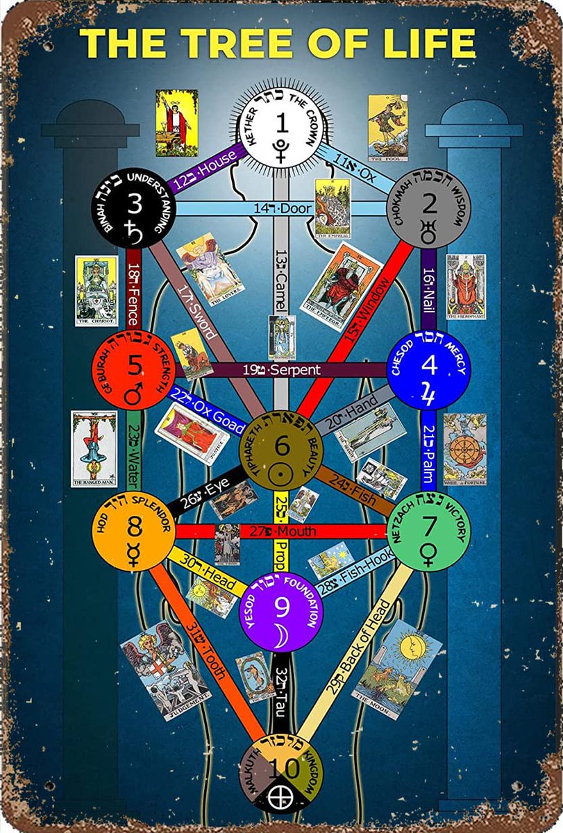 ELeven 🪞 elEVEN (11:11) 🧵 Today's date is November 11th or 11:11. So ...