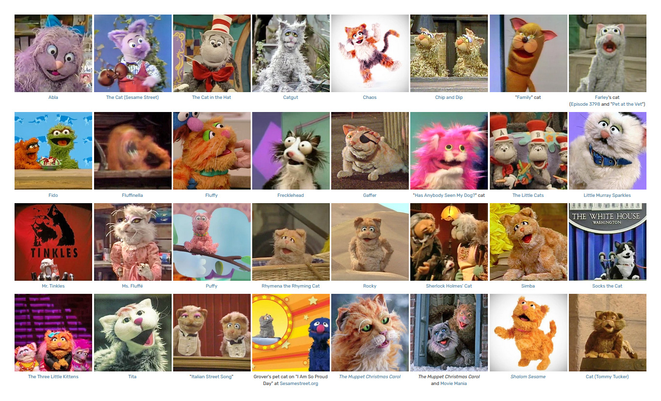 Sesame Street Cat
