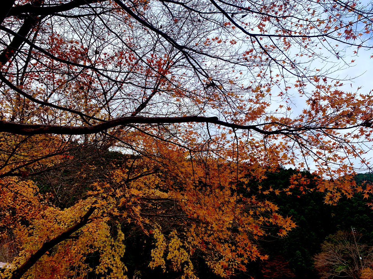 「来ました 」|HAN🌸c101新刊委託中のイラスト