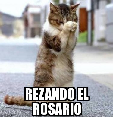 Memes De Rezar Malena Reza Por Ayuda En Un Divertido Video