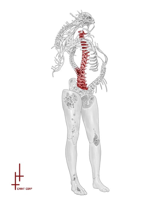 「bone skeleton」 illustration images(Latest)