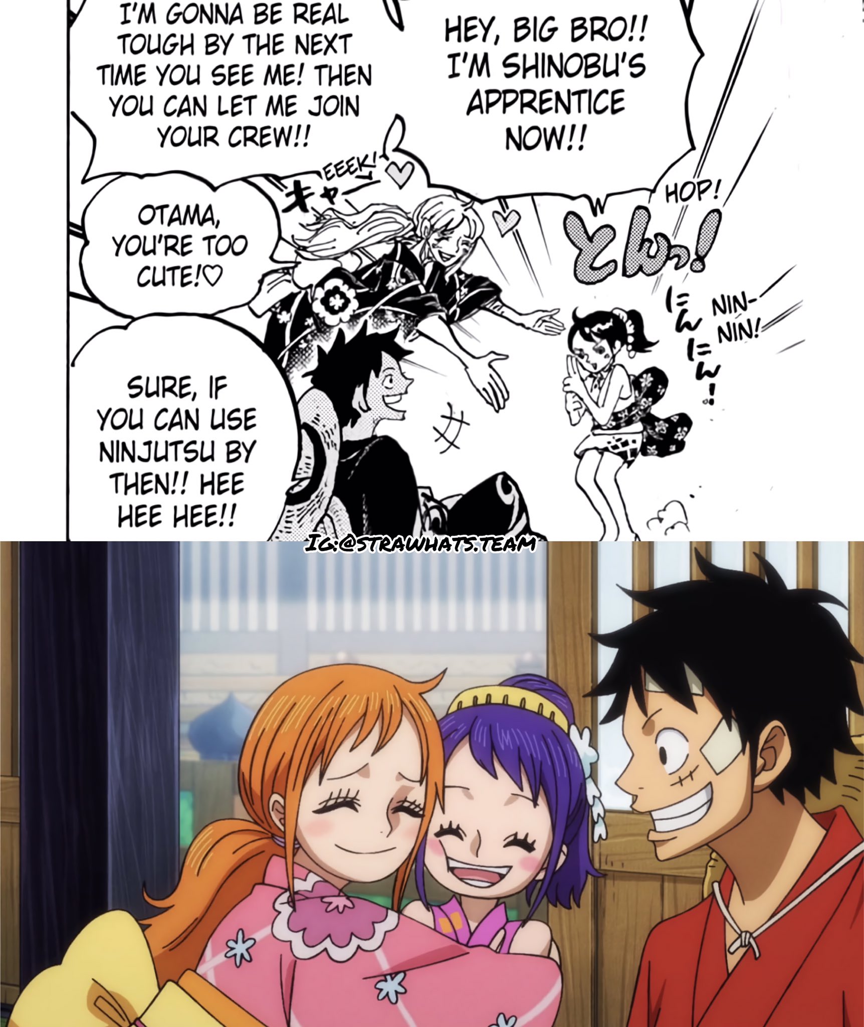 Familia Luffy X Nami