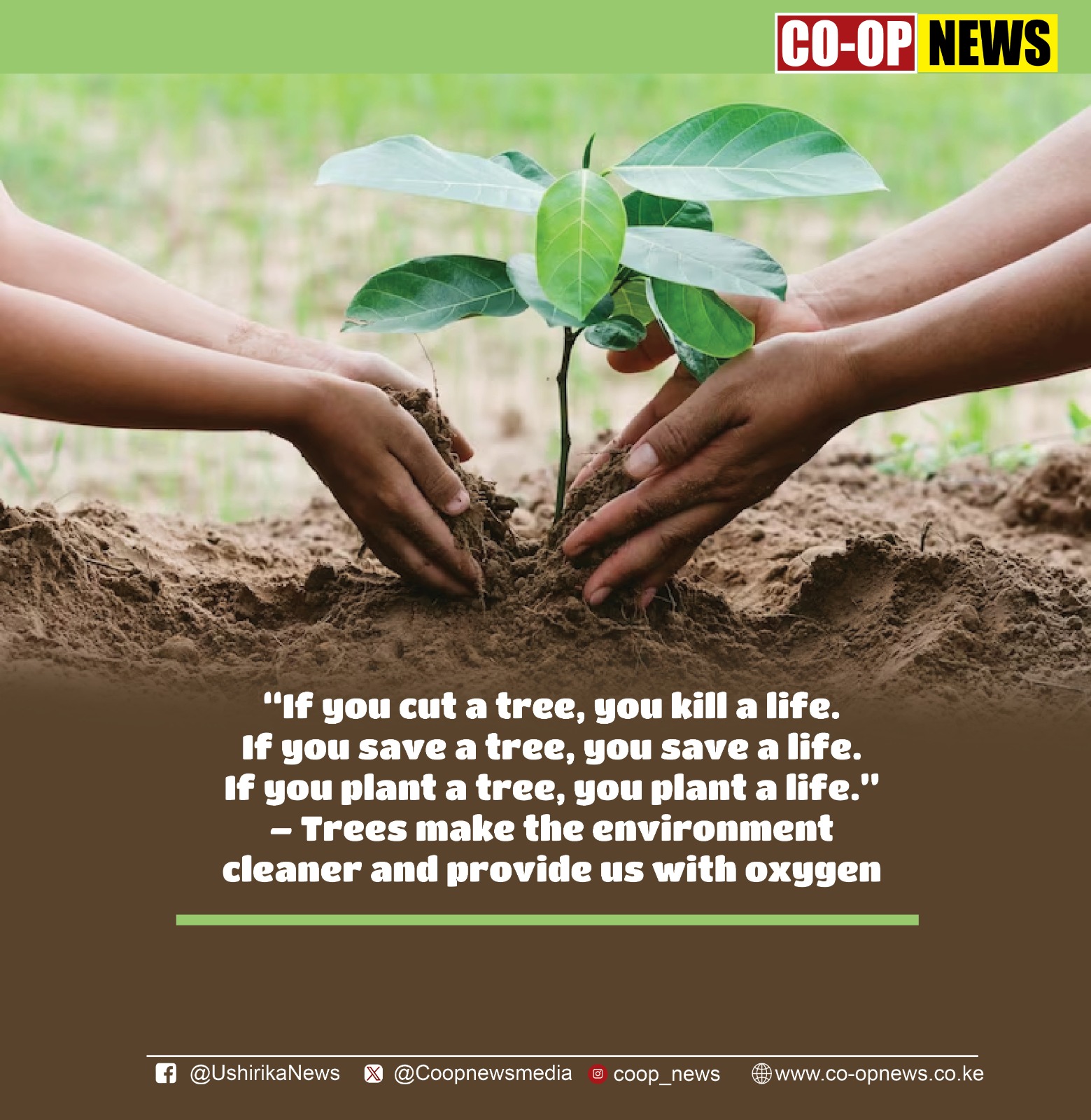 Plant Trees Save Earth Quotes 30+ Unique Save Mother Earth Slogans