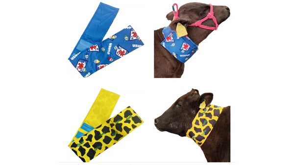 JAcom農業協同組合新聞 on Twitter: "仔牛の熱中症対策「USIMO」接触冷感ネッククーラー 兵庫・鳥取・岡山で展示販売｜JAcom 農業協同組合新聞 https://t.co ...