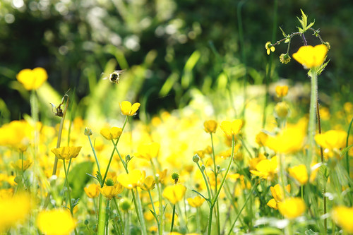 Good Morning ☀️ Don't forget your why. Don't forget why you're doing ...