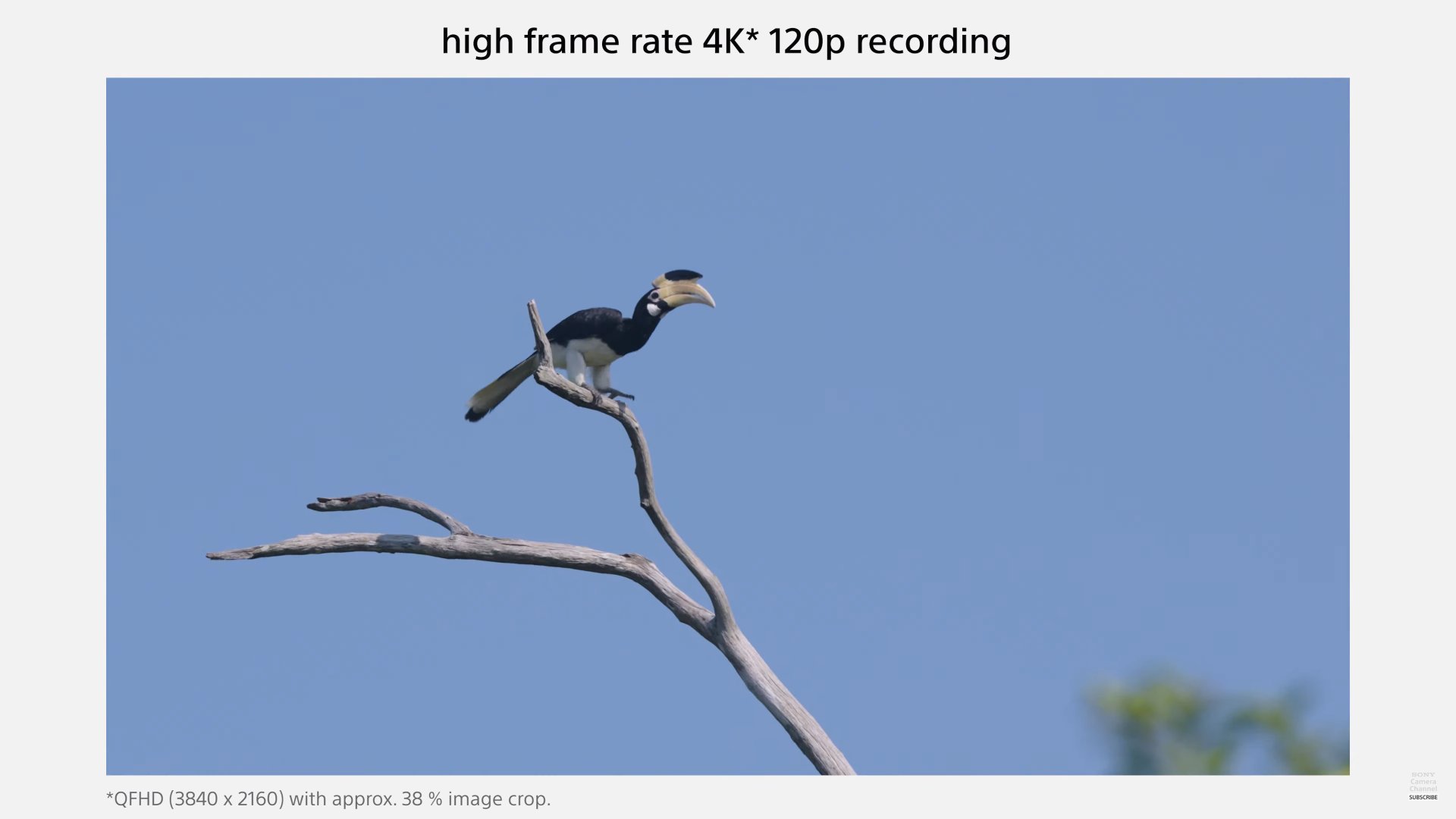 EVERGREEN⚾️ on Twitter: "소니 a6700 4K 120p 촬영 가능, 38% 크롭 https://t.co/F9tKOi1oFc" / Twitter