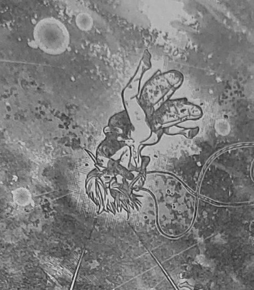 rina ☾･˖ ｡⋆ on Twitter: "I don't care what haters gonna say I'm gonna believe that togachaco ...