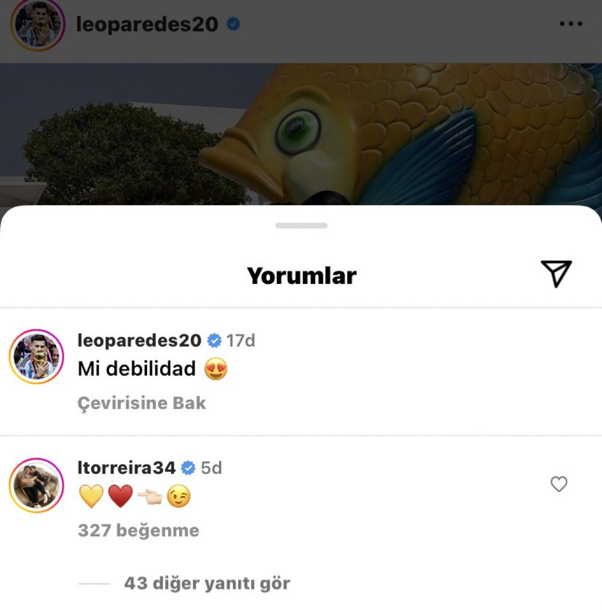 Aslan Medya on Twitter: "🔥Torreira, Paredes’in postuna yorum attı. https://t.co/Q1P94wojRO ...