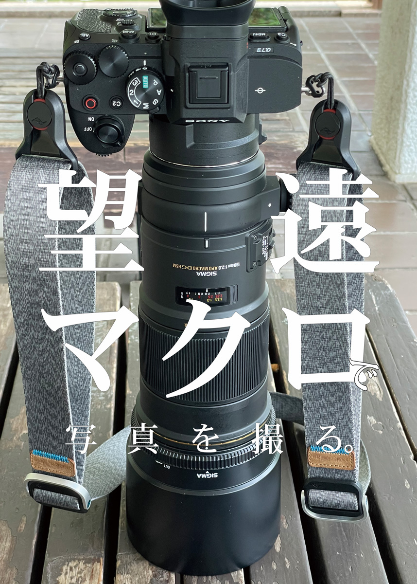 ろっぱ C102 日曜東Y‐17b on Twitter: "暫定だけど表紙できた。夏コミで頒布する同人誌「望遠マクロで写真を撮る。」鋭意制作中！ #C102 https://t.co ...