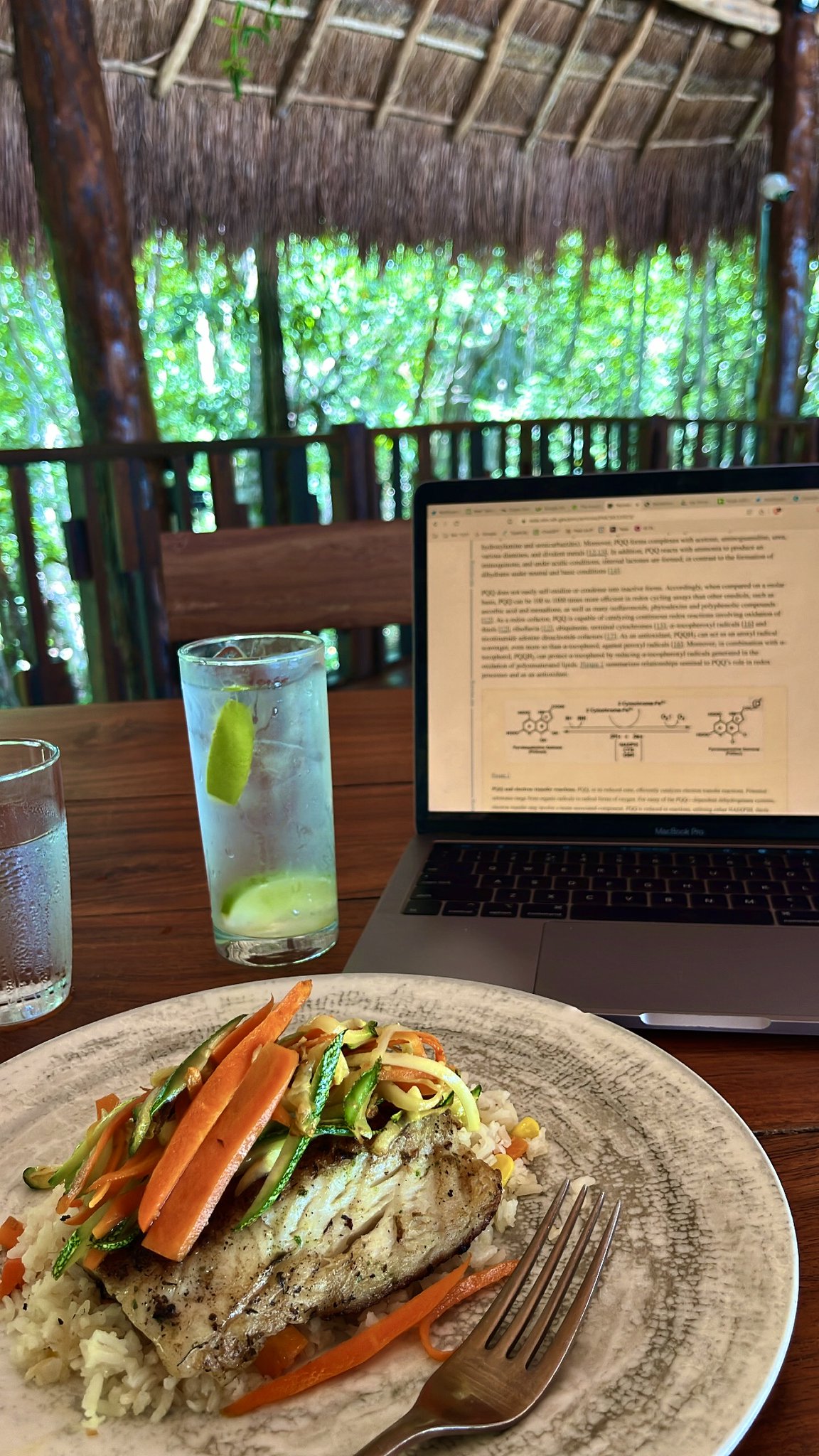 Noah Ryan on Twitter: "I live a cyclical life: Go a few months carefree, living life, chilling ...