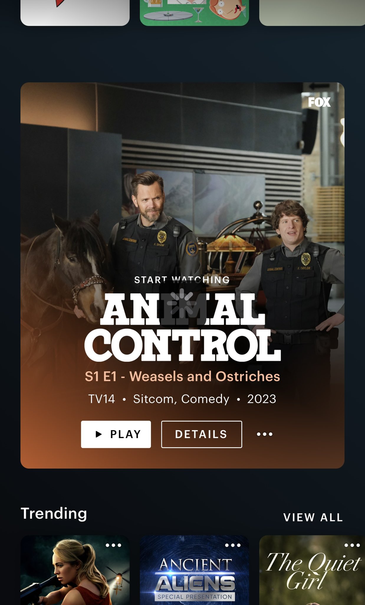 Jenny Lawson on Twitter: "My Hulu keeps buffering and it’s…um…welp. https://t.co/5GWVjrjG6D ...