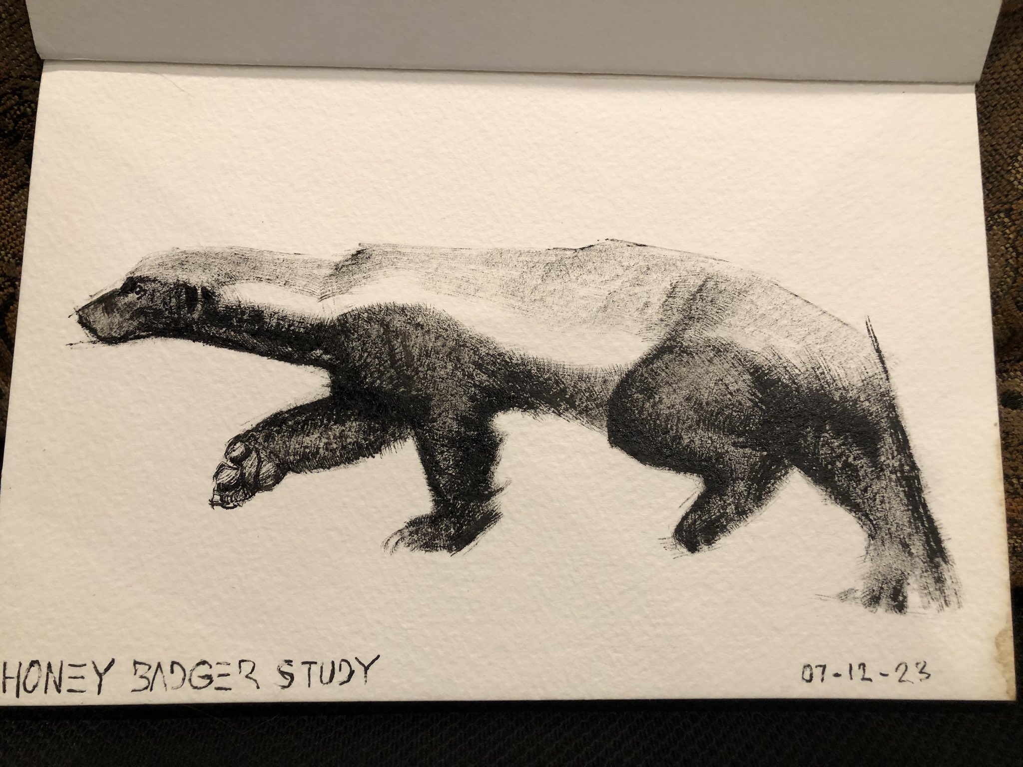 Honey Badger Drawing
