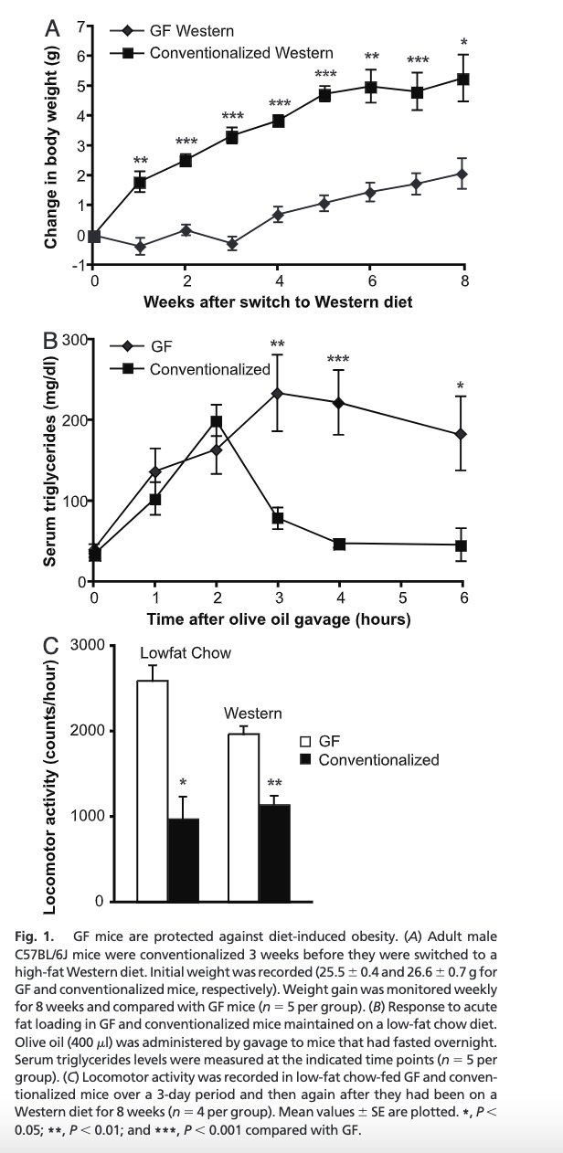 Analyze Optimize On Twitter Animals With Zero Gut Bacteria Also Are