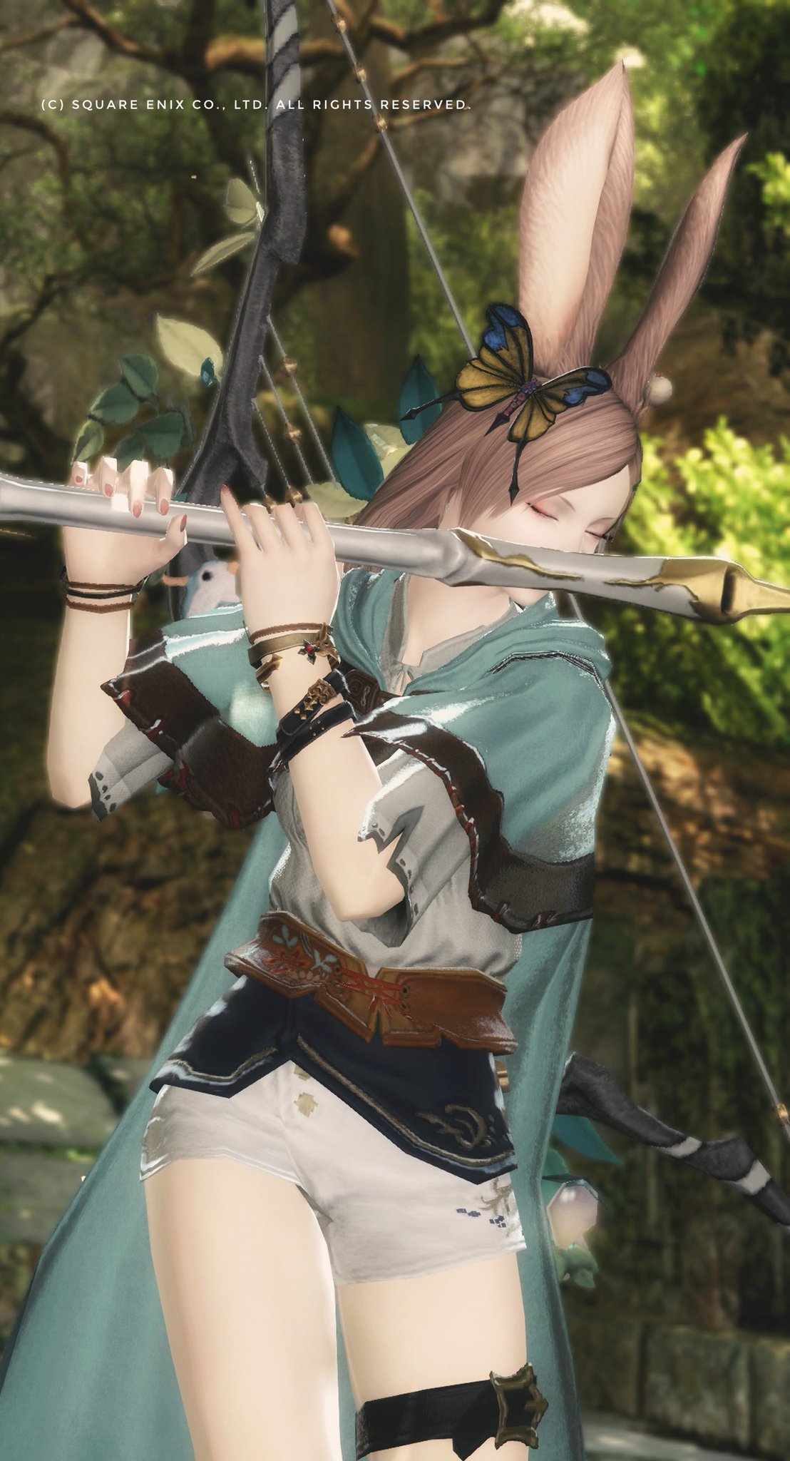 🌺 ぁぃ Ridill 🌺 on Twitter: "💖 #おはウサ #ヴィエラ #うさこ https://t.co/ohJQjA9k3Z ...