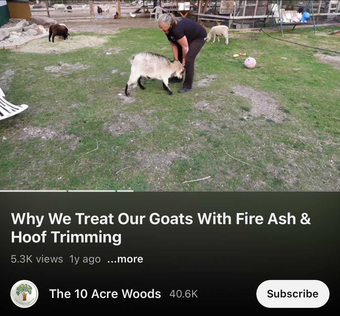 𝖀𝖓𝖍𝖔𝖑𝖞_𝕭𝖗𝖊𝖟𝖟𝖞: CEO of Villains on Twitter: "@ilight84 @CreepyOrg It’s a known practice to treat ...