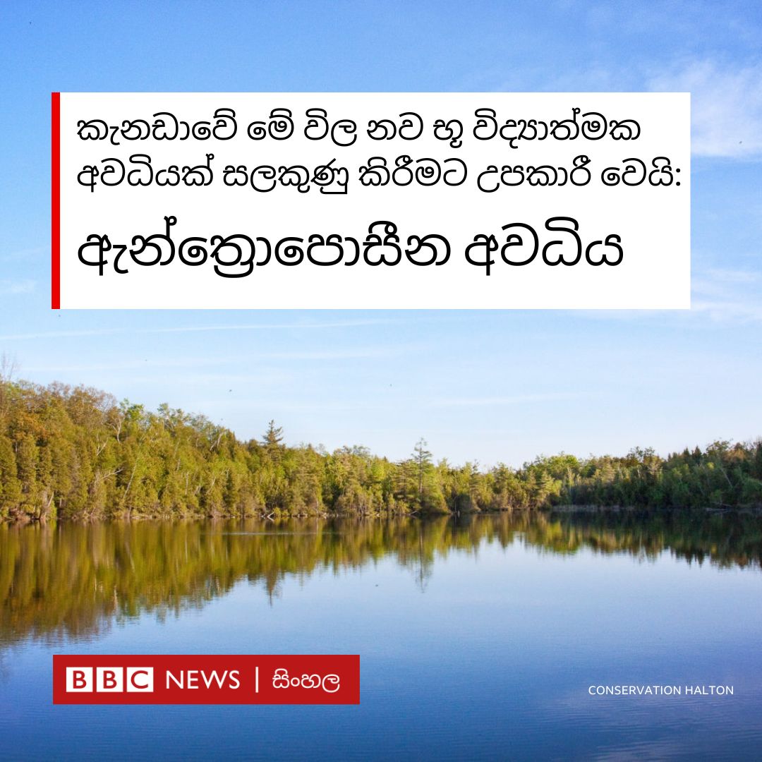 BBC News Sinhala on Twitter: "ක්‍රෝෆර්ඩ් විලේ මඩ අවසාදිතයන්, යෝජිත ඇන්ත්‍රොපොසීන අවධියේ ආරම්භයේ ...