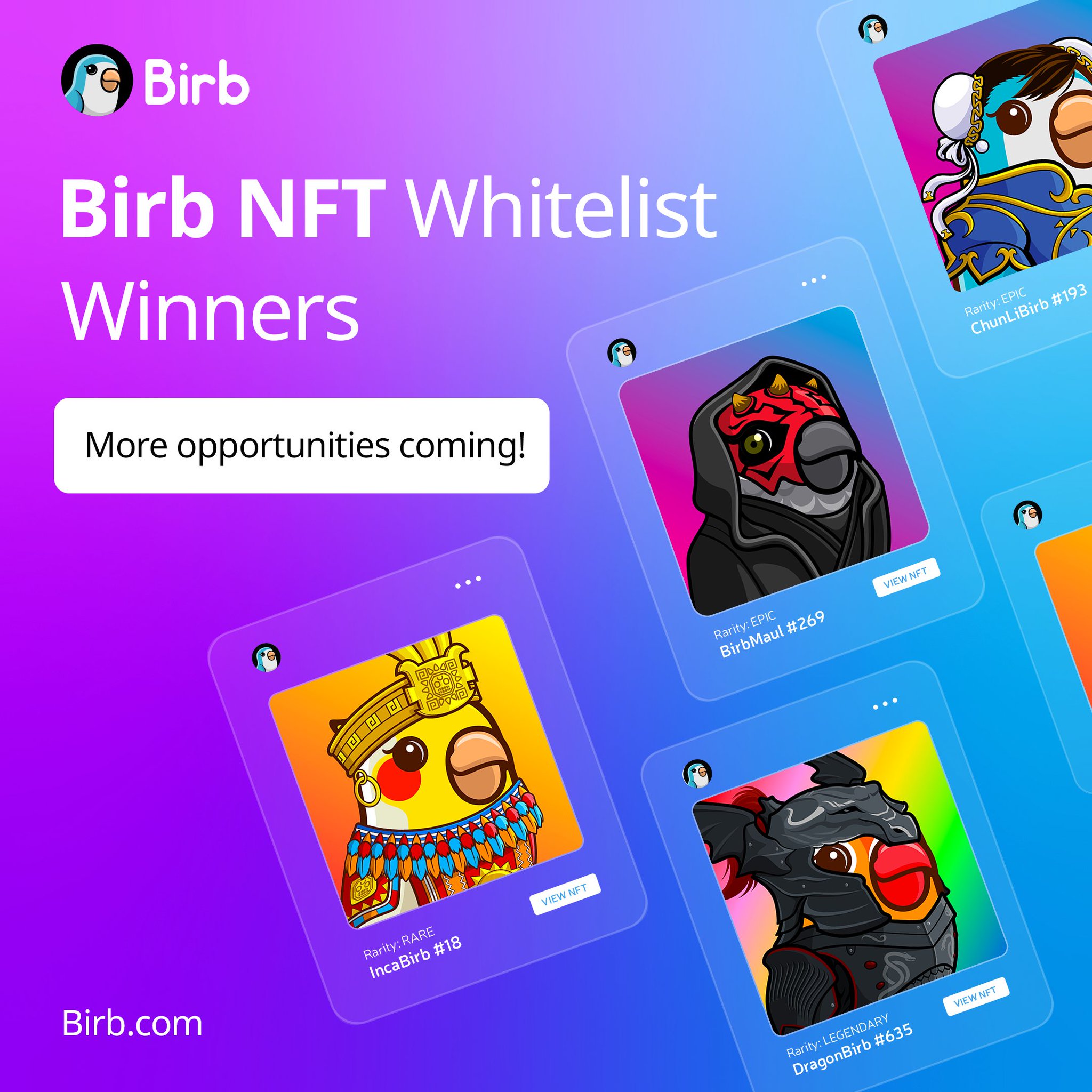 Birb 🦜 on Twitter: "🎉 BIG NEWS! BIRB NFT WHITELIST GIVEAWAY WINNERS ANNOUNCED 🥳 🚀 Two of our top ...