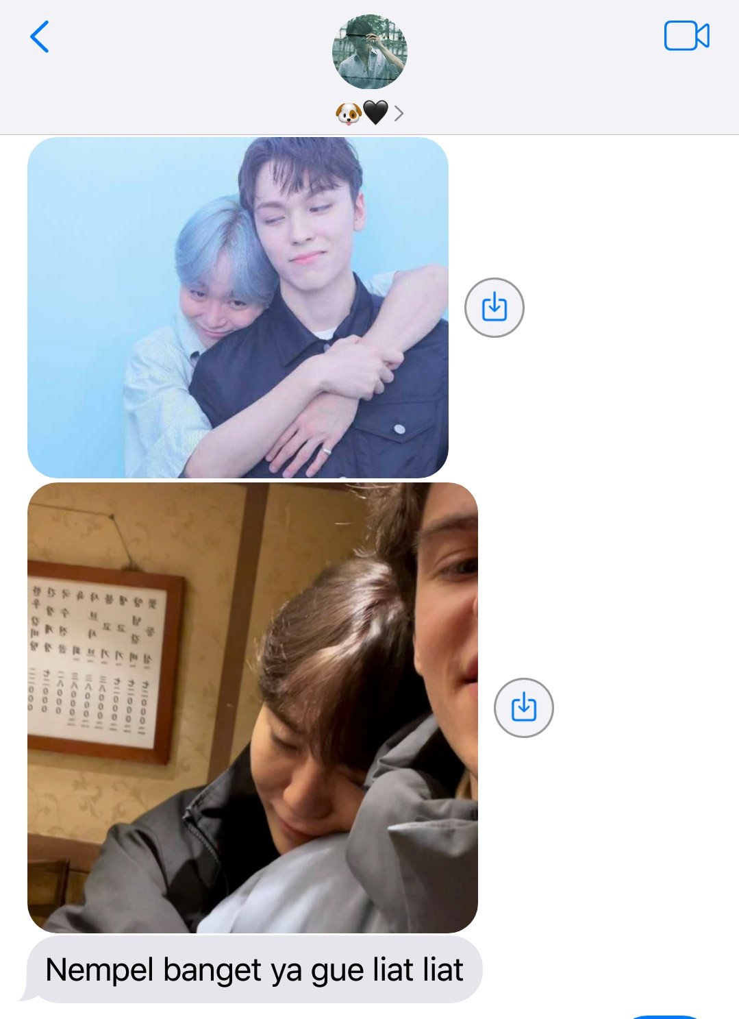 by🌻 | gyuboo au📌 on Twitter: "BF's privilege (BF for BOYFRIEND, bukan boy friend, apalagi best ...