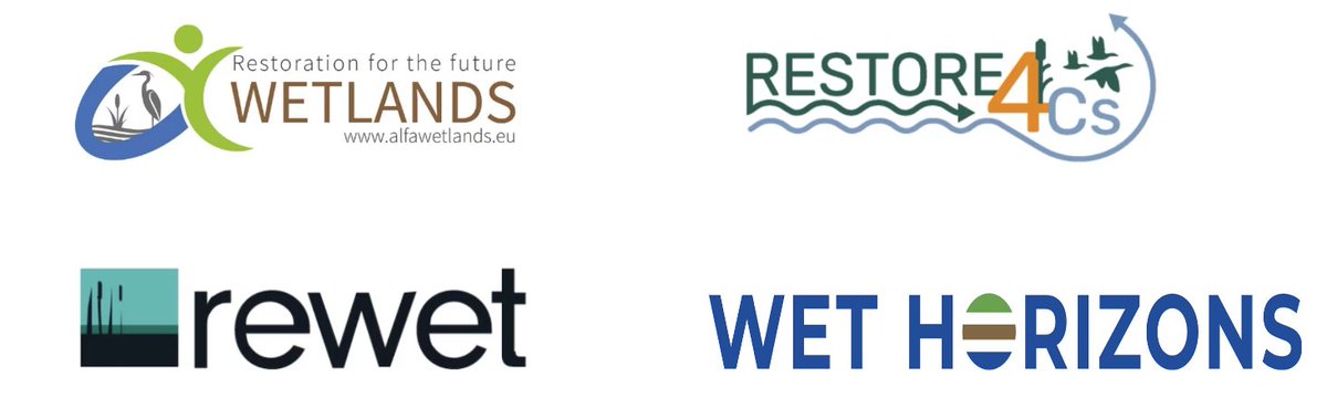 Wet Horizons - Improving wetland knowledge and developing tools to ...