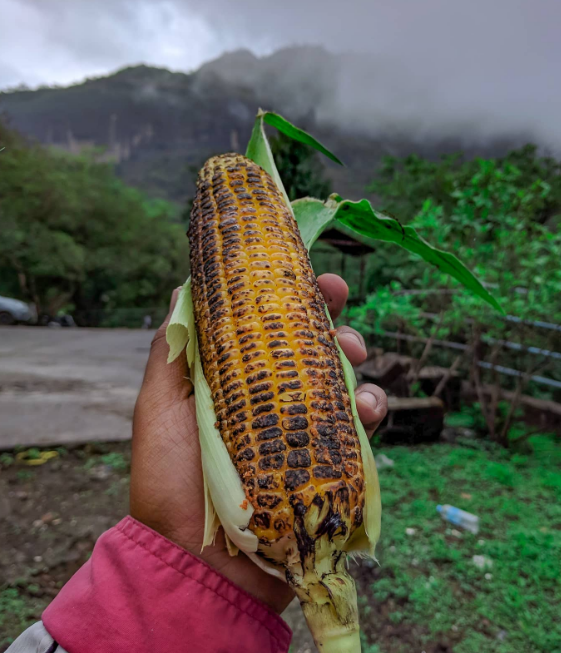 10 delicious foods to enjoy during the monsoon season 1. Pakora ...