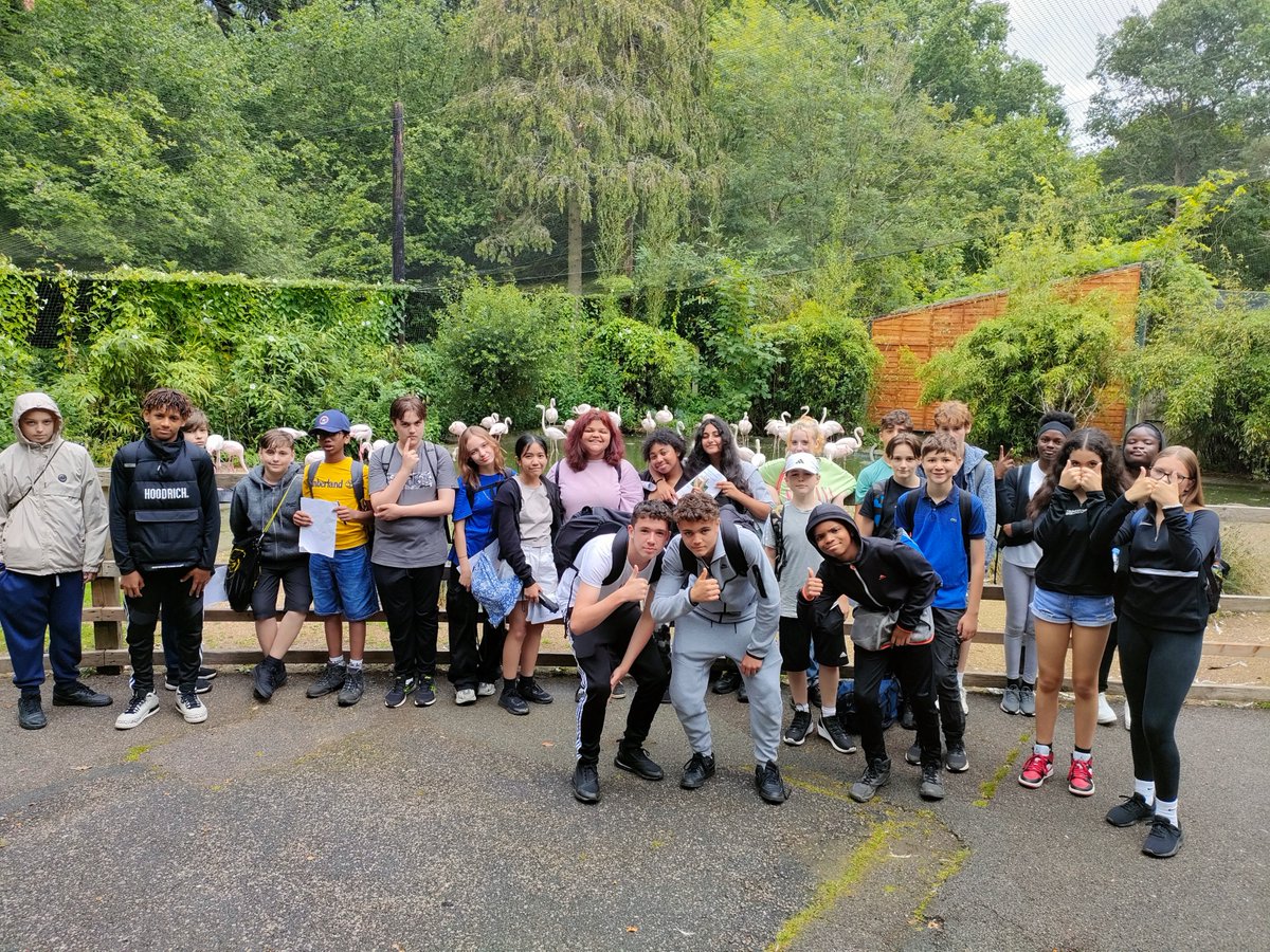 Harris Academy Sutton