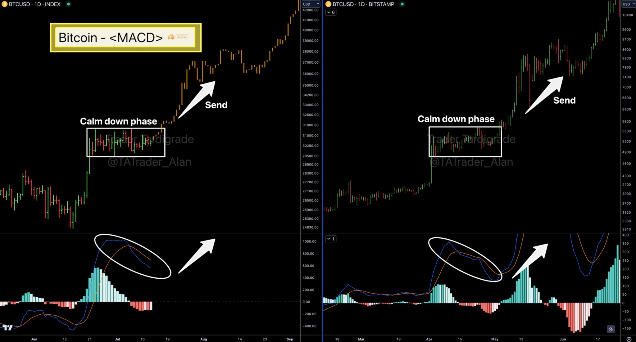 Trader Tardigrade on Twitter: Trader Tardigrade on Twitter: