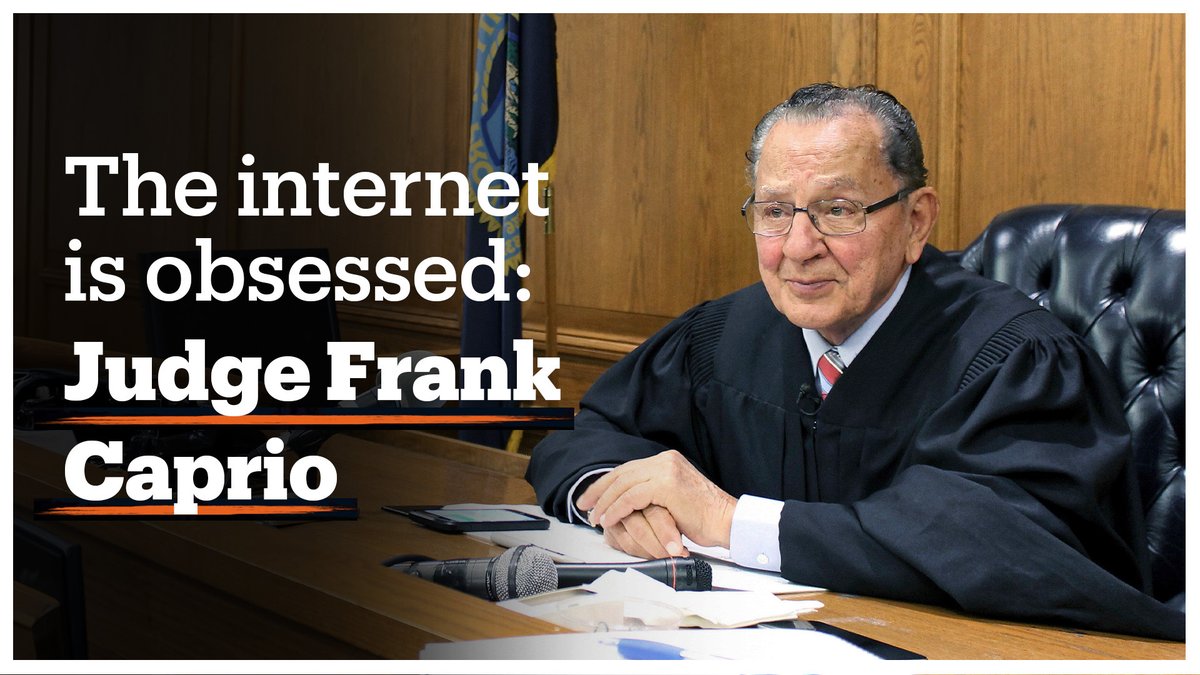 TRT World on Twitter: "Meet the star of “Caught in Providence” and the internet’s favourite ...